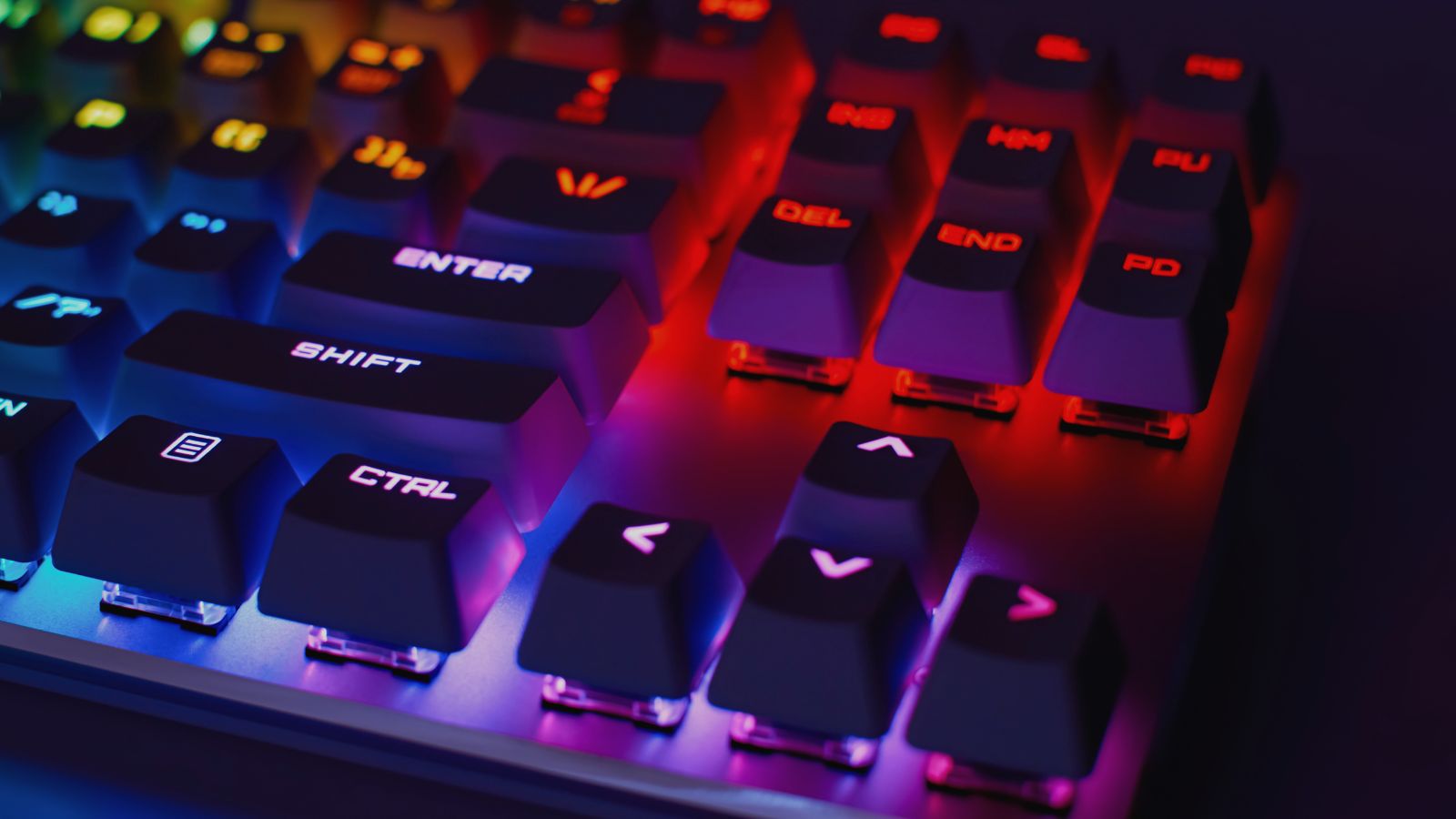 Common Keyboard Shortcuts You Need to Know